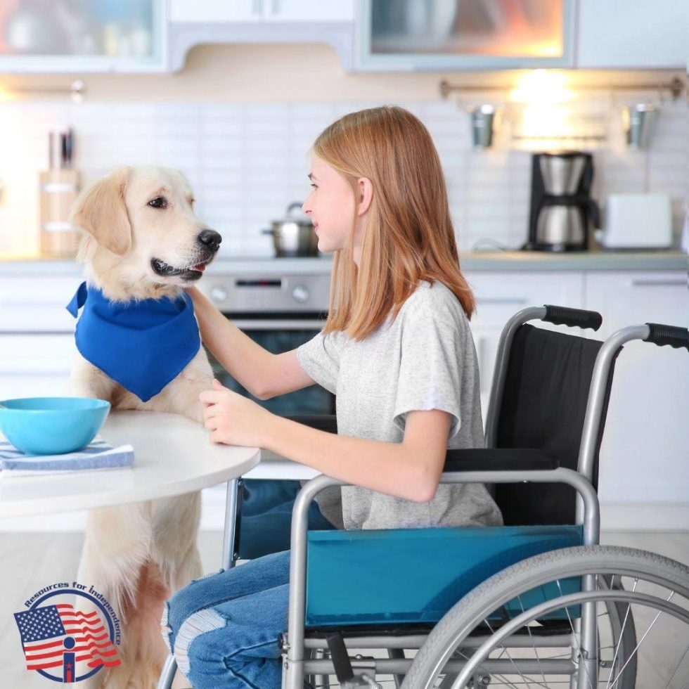 Frequently Asked Questions About Service Animals And The ADA Resources For Independence frequently-asked-questions-about-service-animals-and-the-ada-resources-for-independence